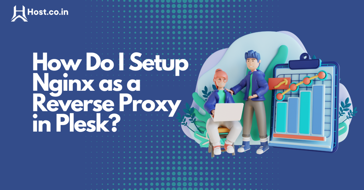 How Do I Setup Nginx As A Reverse Proxy In Plesk