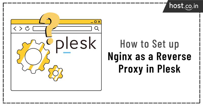 How to Set up Nginx as a Reverse Proxy in Plesk